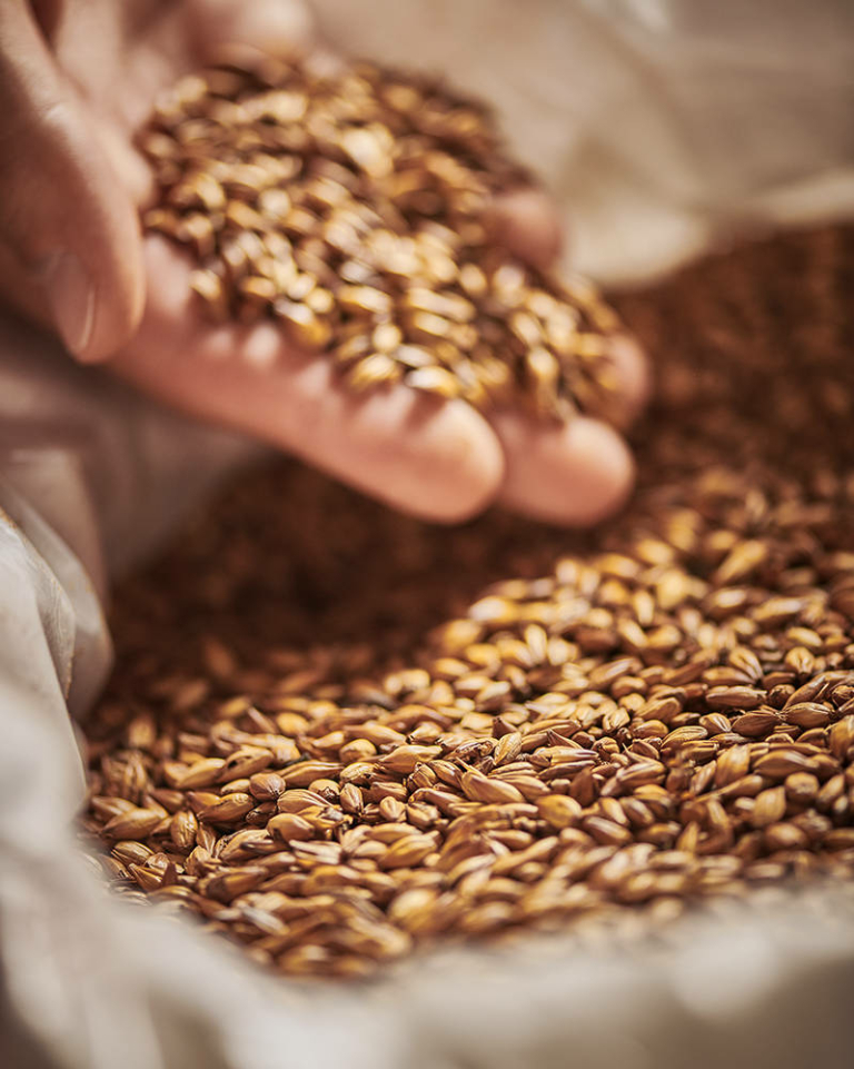 Weyermann® Floor-Malted Bohemian Pilsner Malt – Weyermann® Spezialmalze