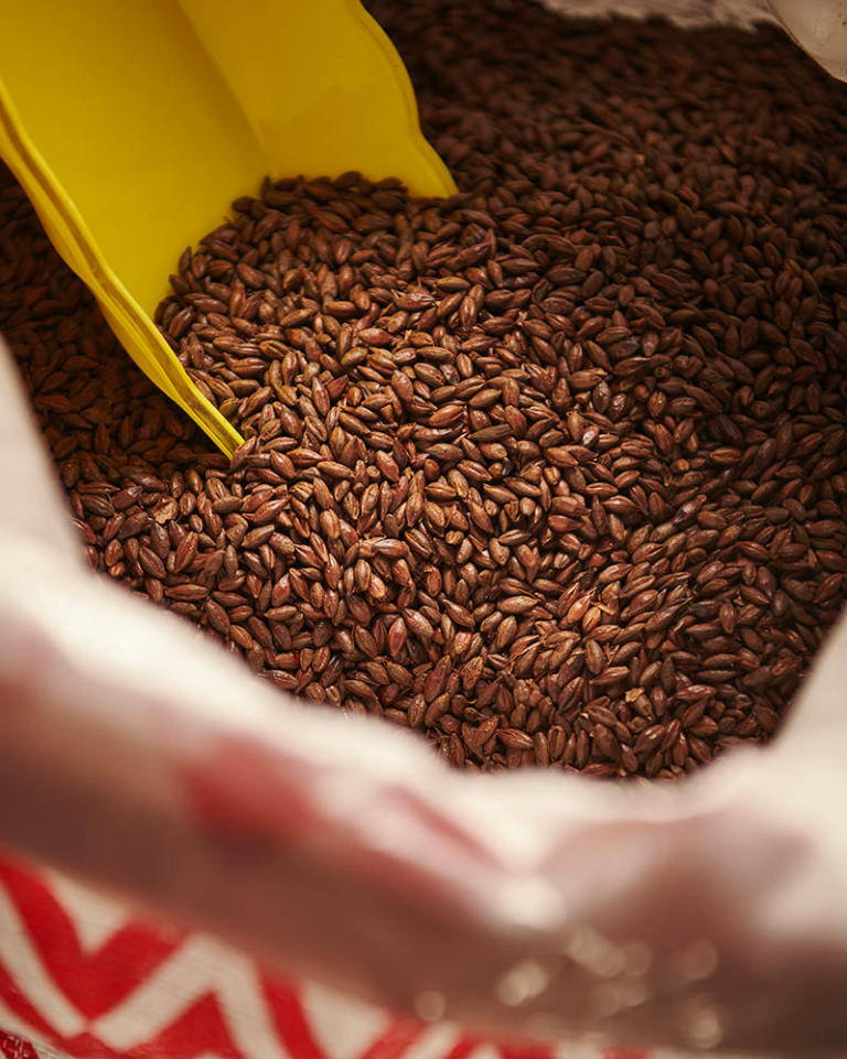 Weyermann® CARAFA® SPECIAL Type 1 – Weyermann® Spezialmalze