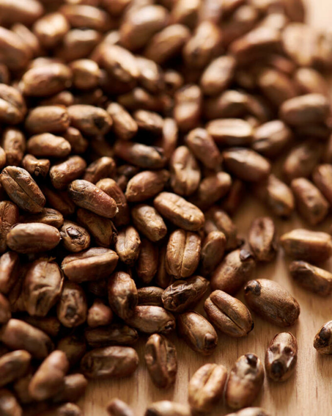 Weyermann® CARAWHEAT® – Weyermann® Spezialmalze