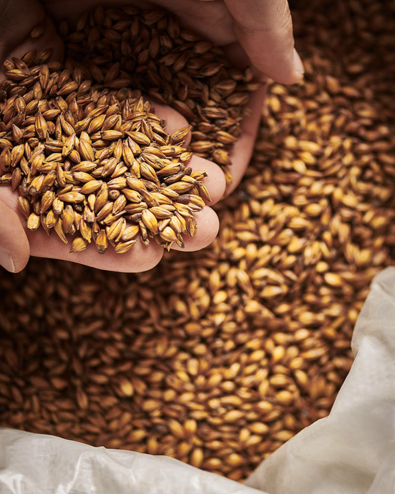 Weyermann® Floor-Malted Bohemian Dark Malt – Weyermann® Spezialmalze