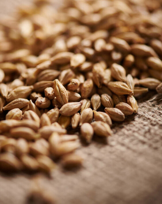 Weyermann® Acidulated Malt * – Weyermann® Spezialmalze