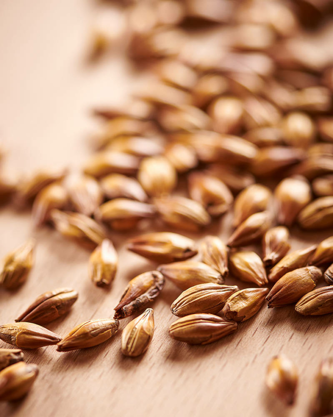 Weyermann® SPECIAL W® – Weyermann® Spezialmalze