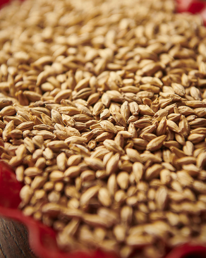 Weyermann® Munich Malt Type 2 * – Weyermann® Spezialmalze