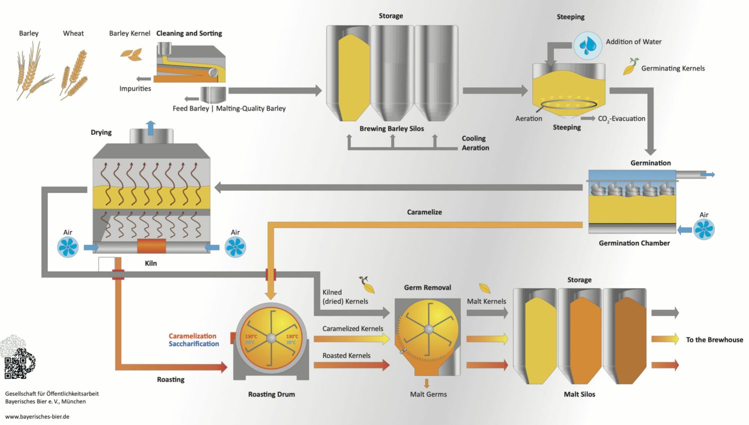 Malting process – Weyermann® Spezialmalze